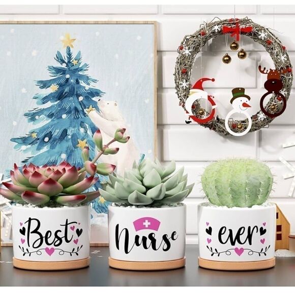 boutique | Accessories | Bestnurse Ever Planters For Succulents Can ...